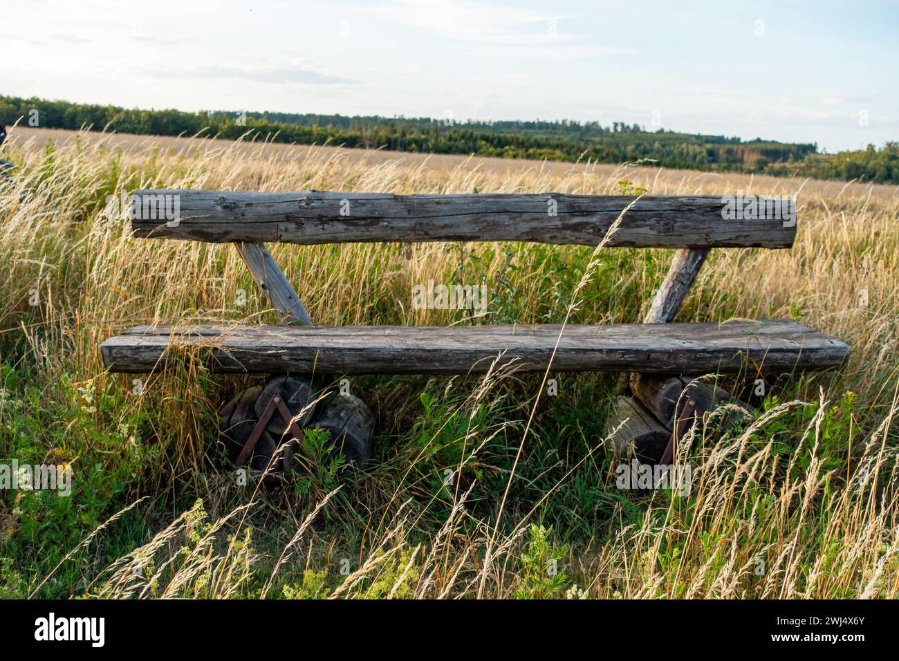 Old wooden bench Stock Photo - Alamy