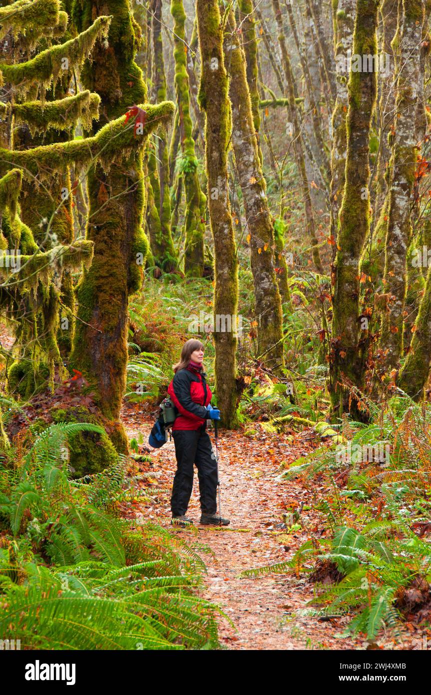 Plunkett Creek Loop Trail, Beazell Memorial Forest County Park, Benton ...