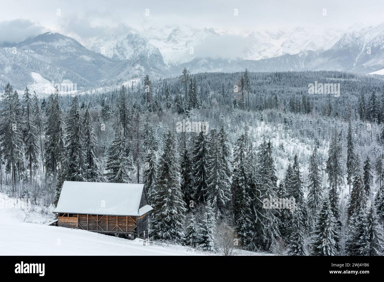 High Tatra Mountains in winter snowy scenery Stock Photo - Alamy