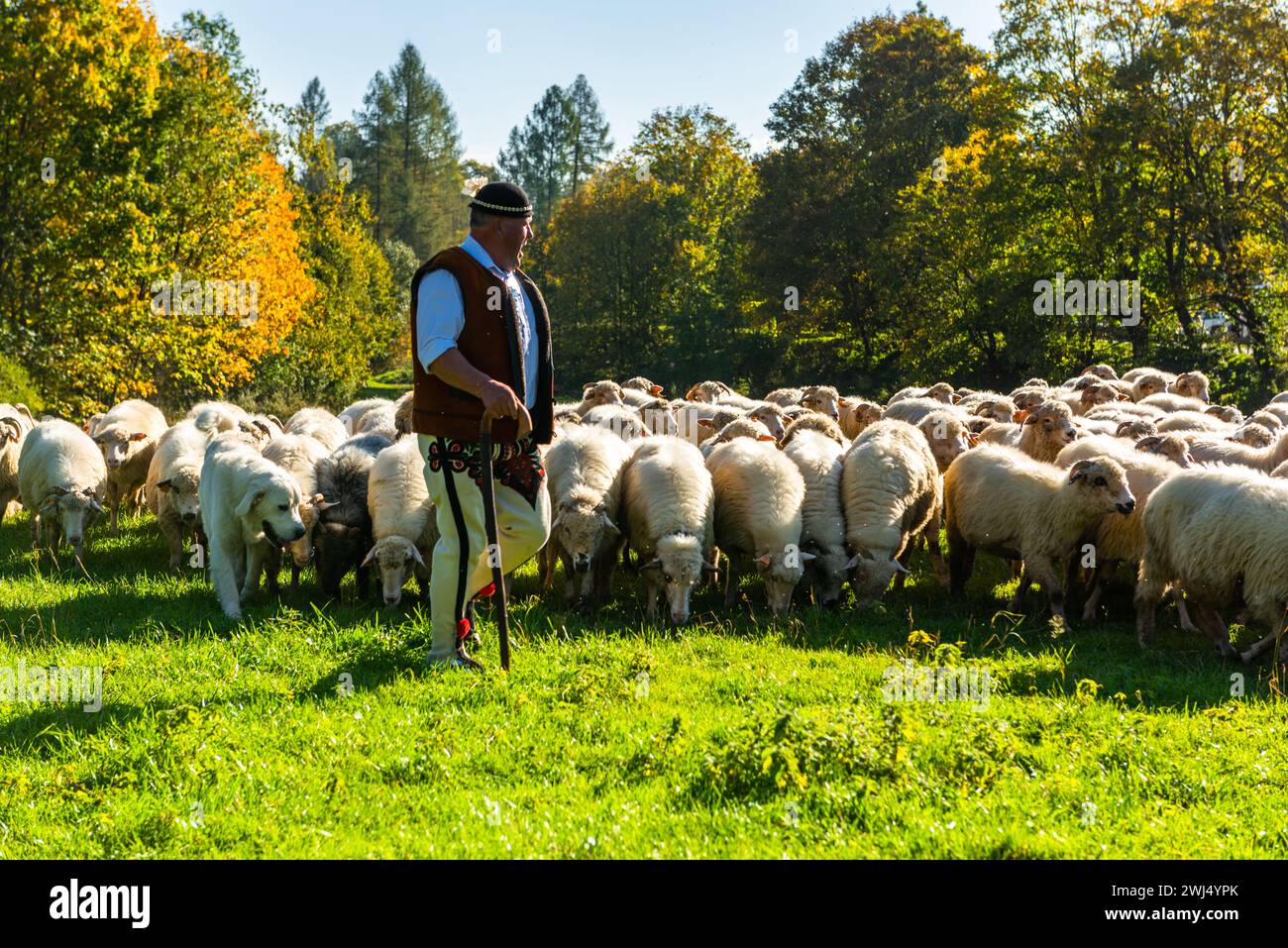 SZCZAWNICA,POLAND - OCTOBER 14, 2023: Traditional Carpathian Shepherds ...