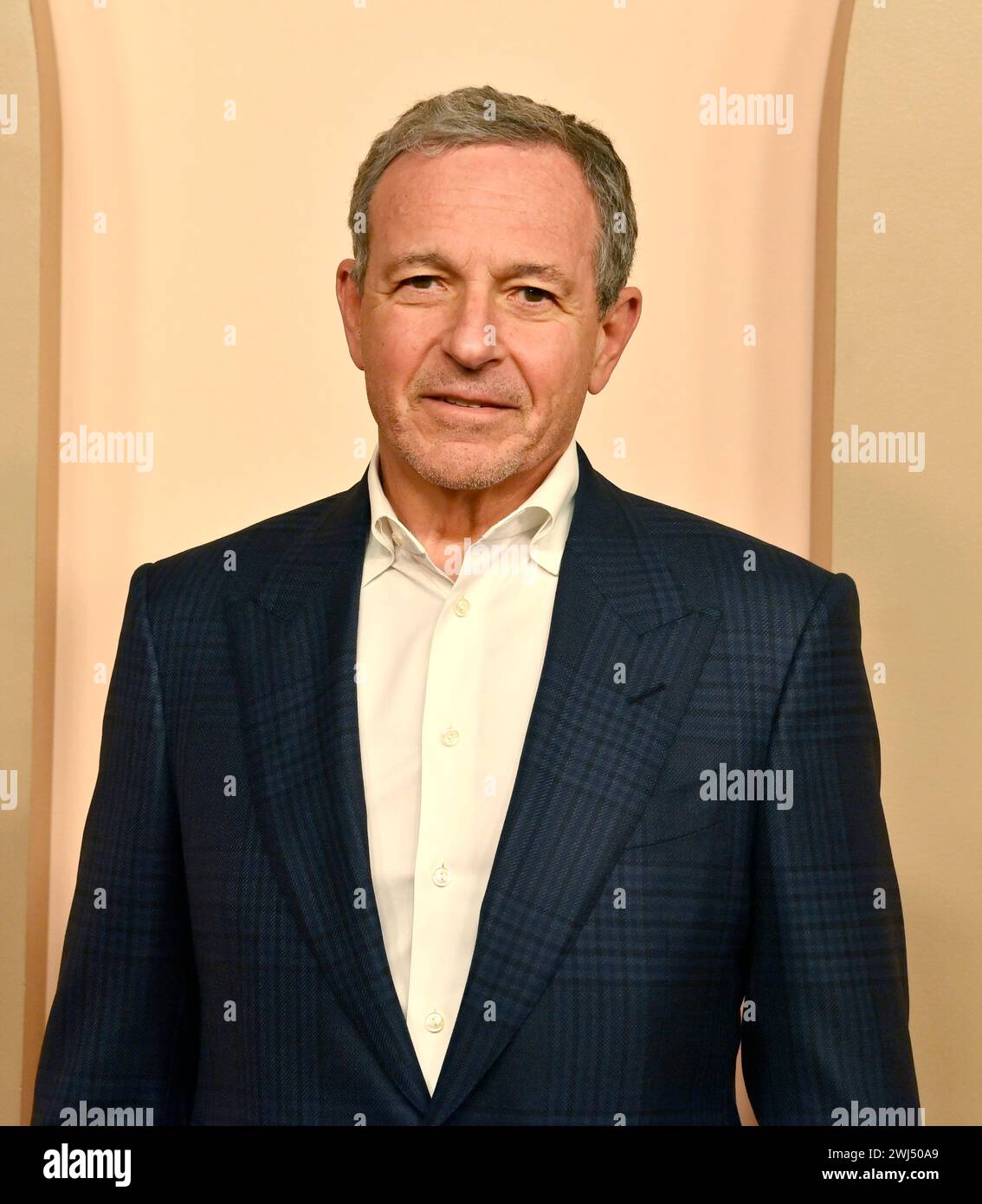 Bob Iger, CEO of the Walt Disney Co. attends the 96th annual Oscars ...