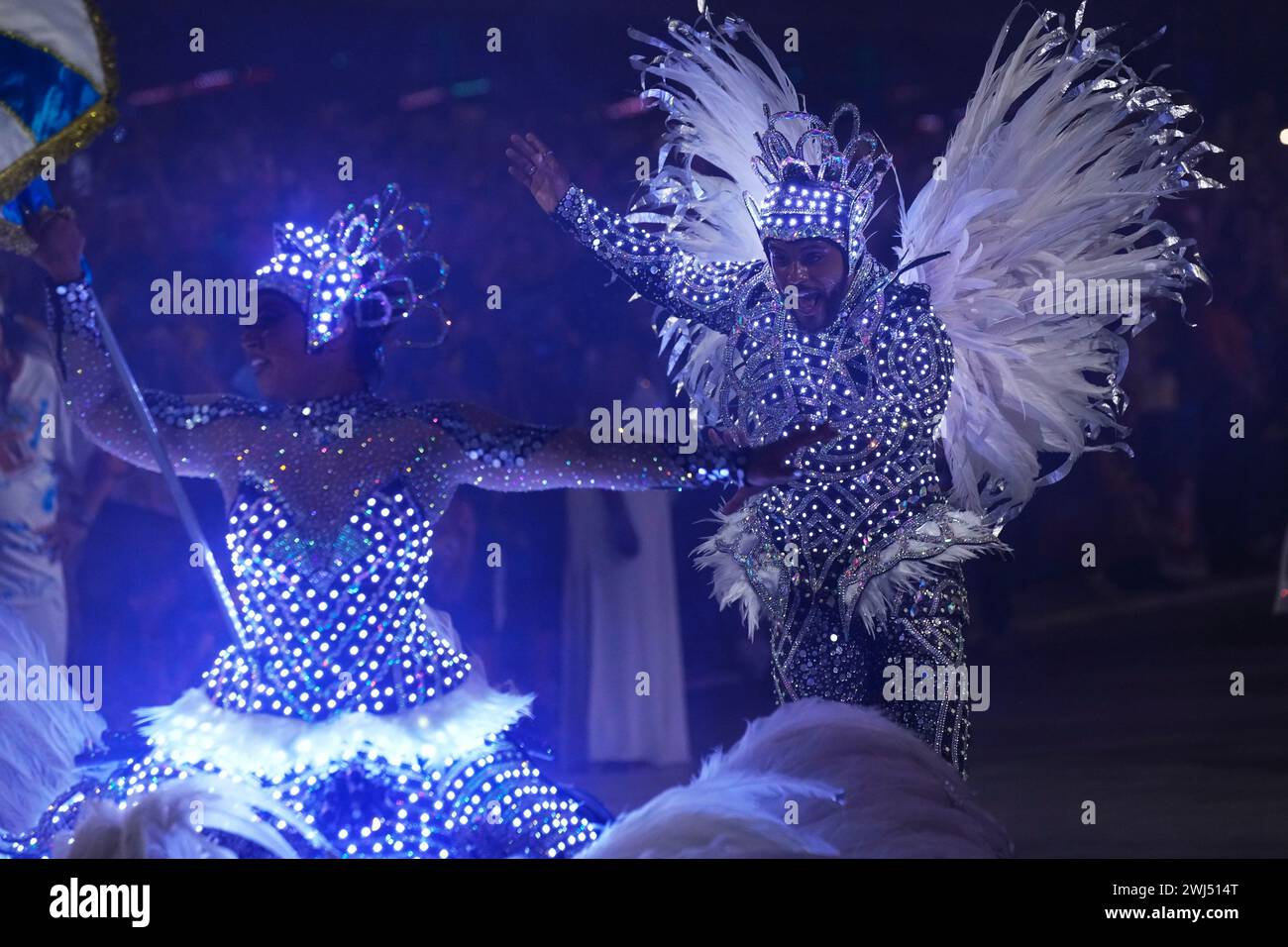 Performers from the Vila Isabel samba school parade during Carnival ...
