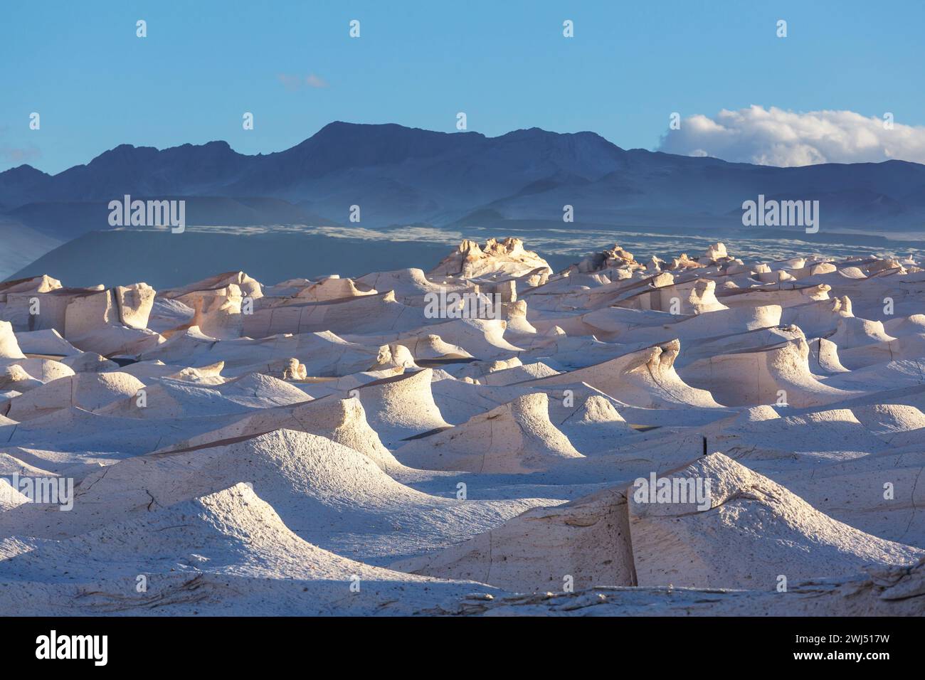 The Campo de Piedra Pomez at over 3,500m in the Andes. A bizarre pumice ...