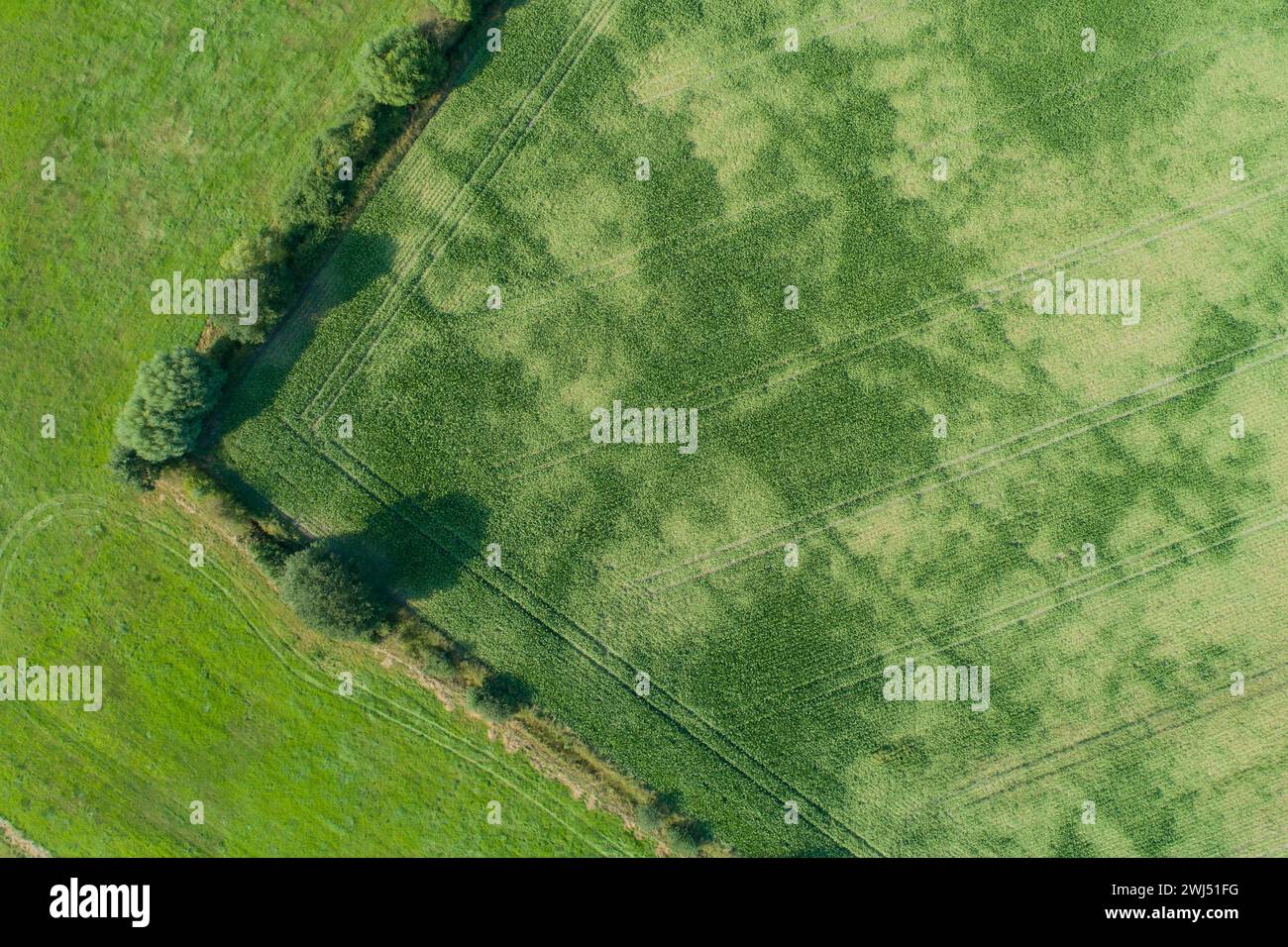 Drones Aerial view of various agricultural fields Stock Photo - Alamy