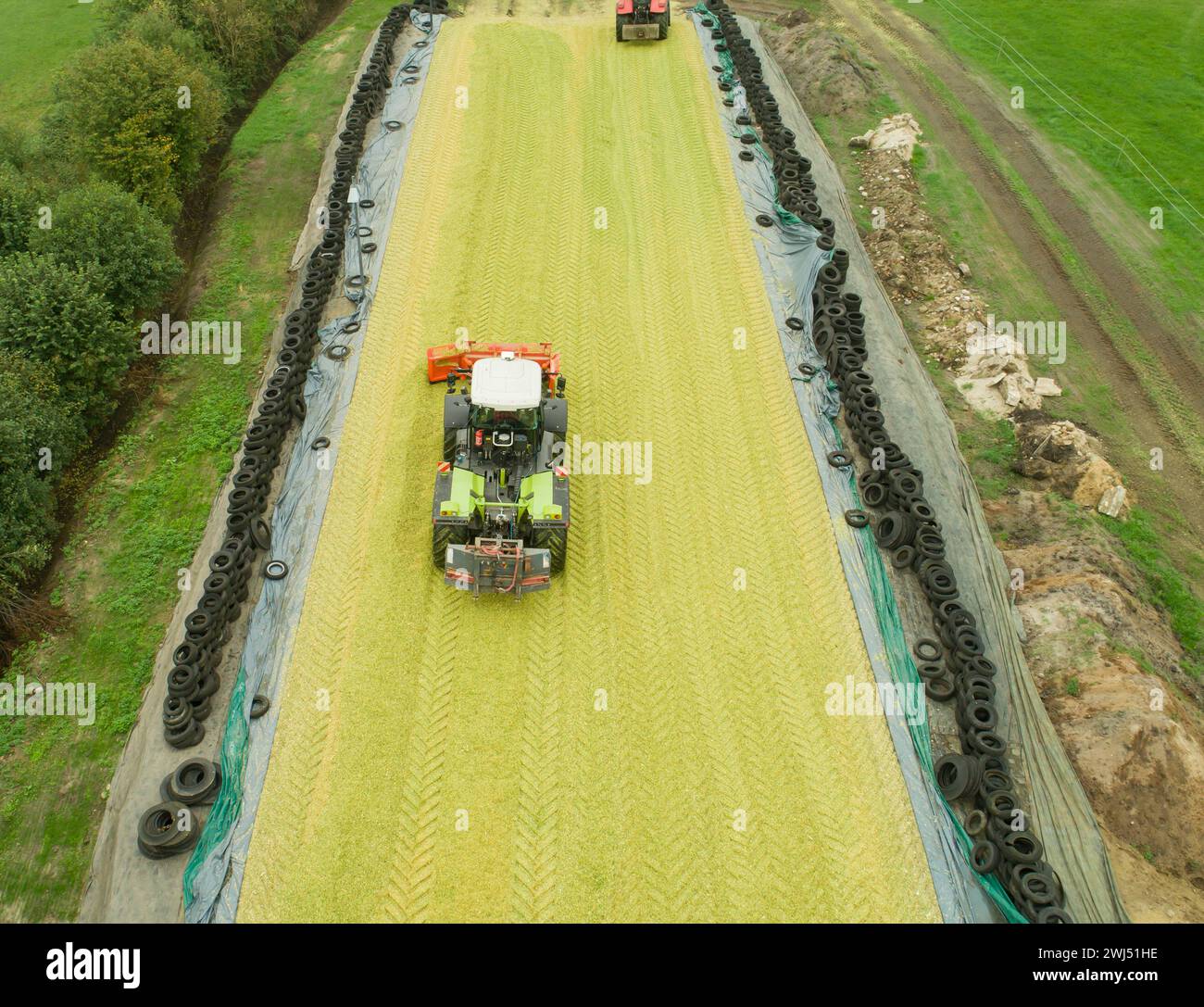 Tractor on a corn silage during the corn harvest Stock Photo - Alamy