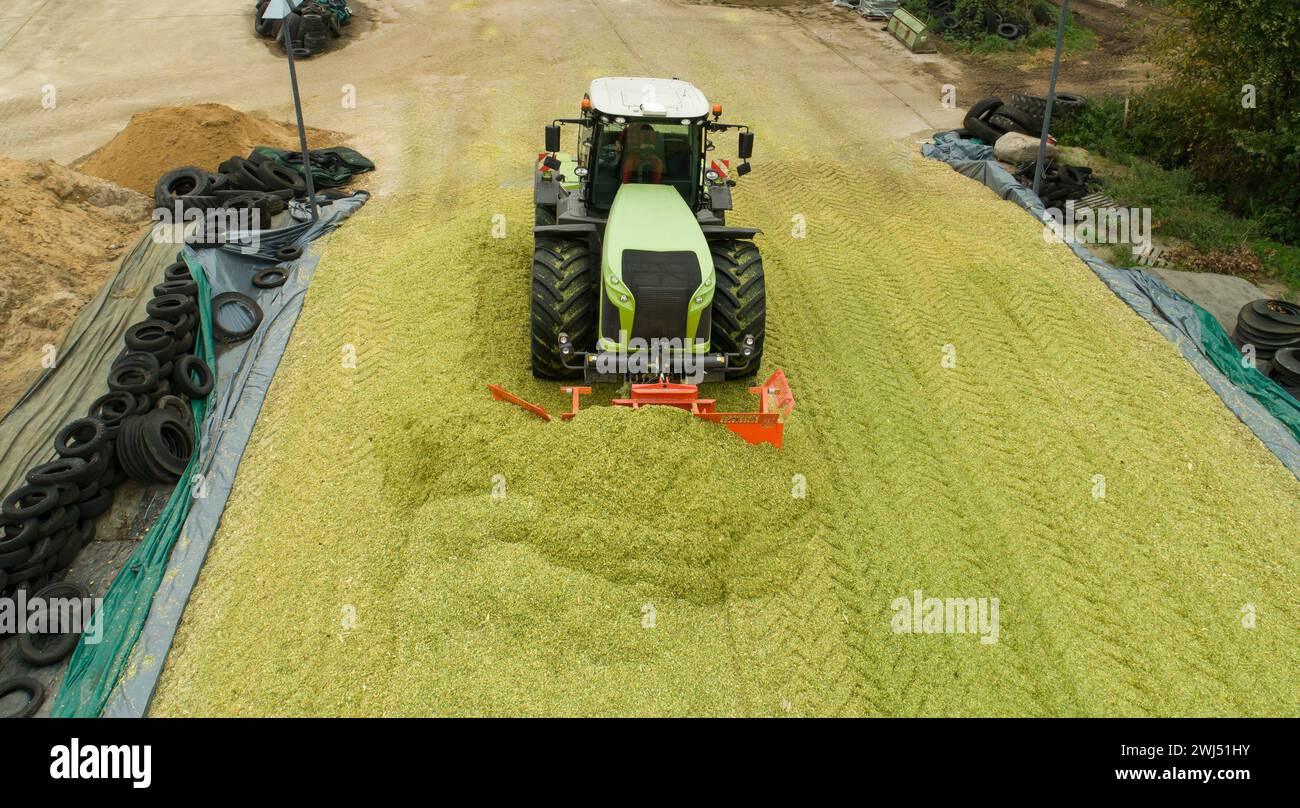 Tractor on a corn silage during the corn harvest Stock Photo - Alamy