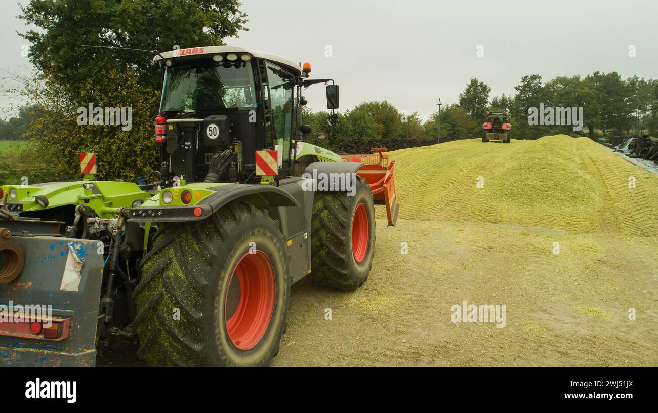 Tractor on a corn silage during the corn harvest Stock Photo - Alamy