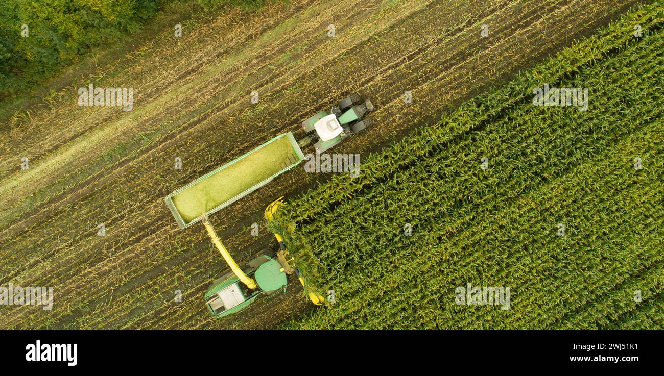 Agricultural machinery tractor and chopper during the corn harvest ...