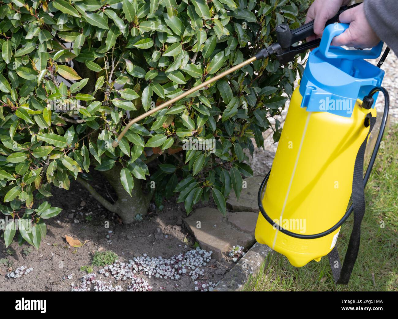 Fertilizer application hi-res stock photography and images - Alamy