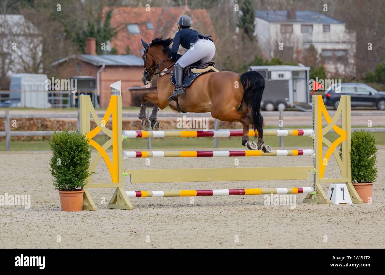 Horse jumps over an obstacle in show jumping Stock Photo - Alamy