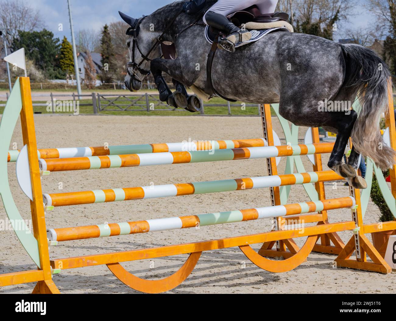 Show jumping bridle hi-res stock photography and images - Alamy