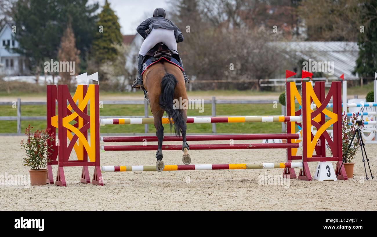 Show jumping bridle hi-res stock photography and images - Alamy