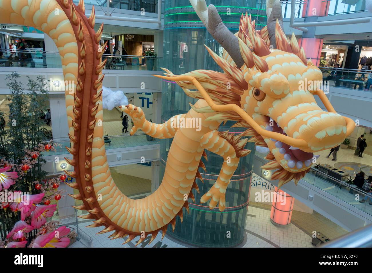Lunar New Year 2024- Year of the Dragon, Giant Dragon display in ...