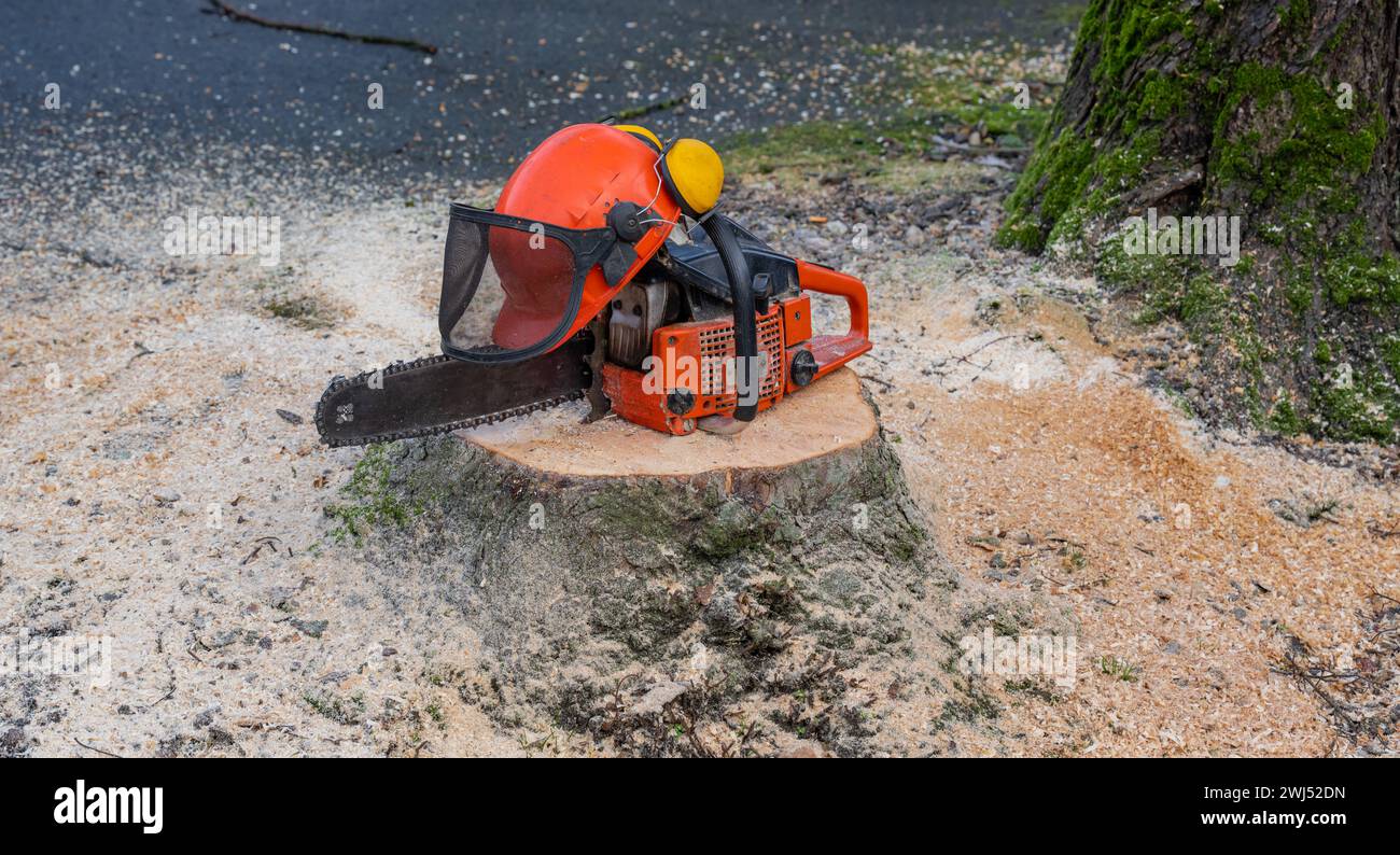 Still Chainsaw and safety helmet lies on a log after the tree has been ...