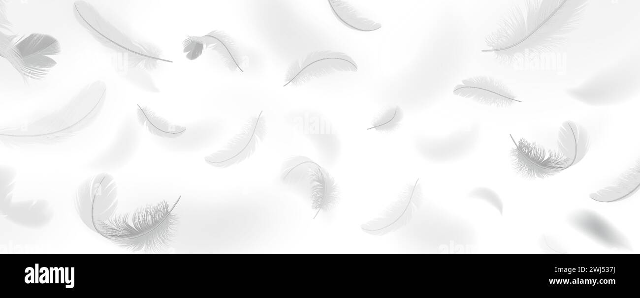 Flying plumage pattern realistic vector illustration. Floating quills ...