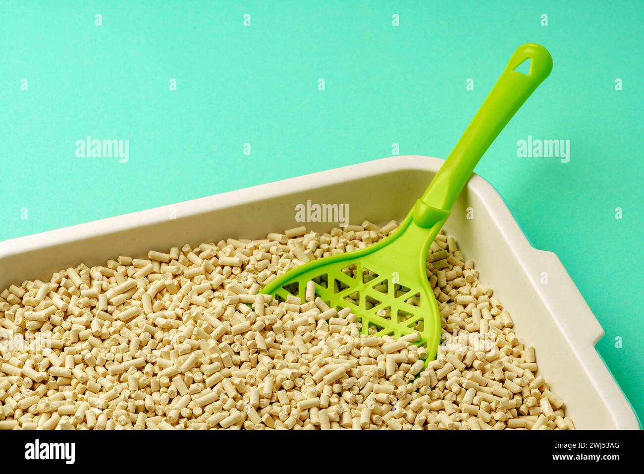 Pet litter box with bio filler on green background Stock Photo - Alamy