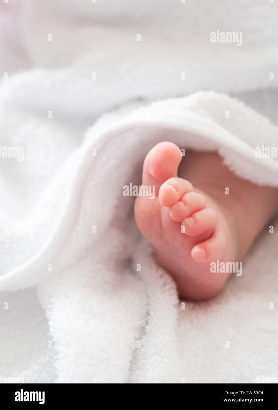 Baby's first steps: tiny foot unveiled from a white towel Stock Photo ...