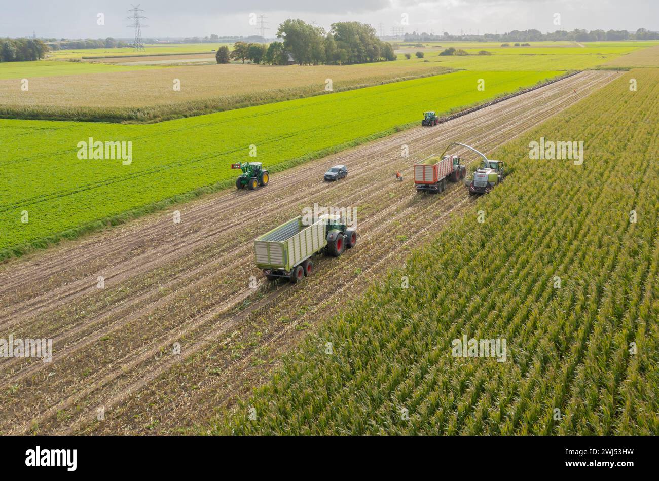 Tractor and corn chopper during corn harvest Stock Photo - Alamy
