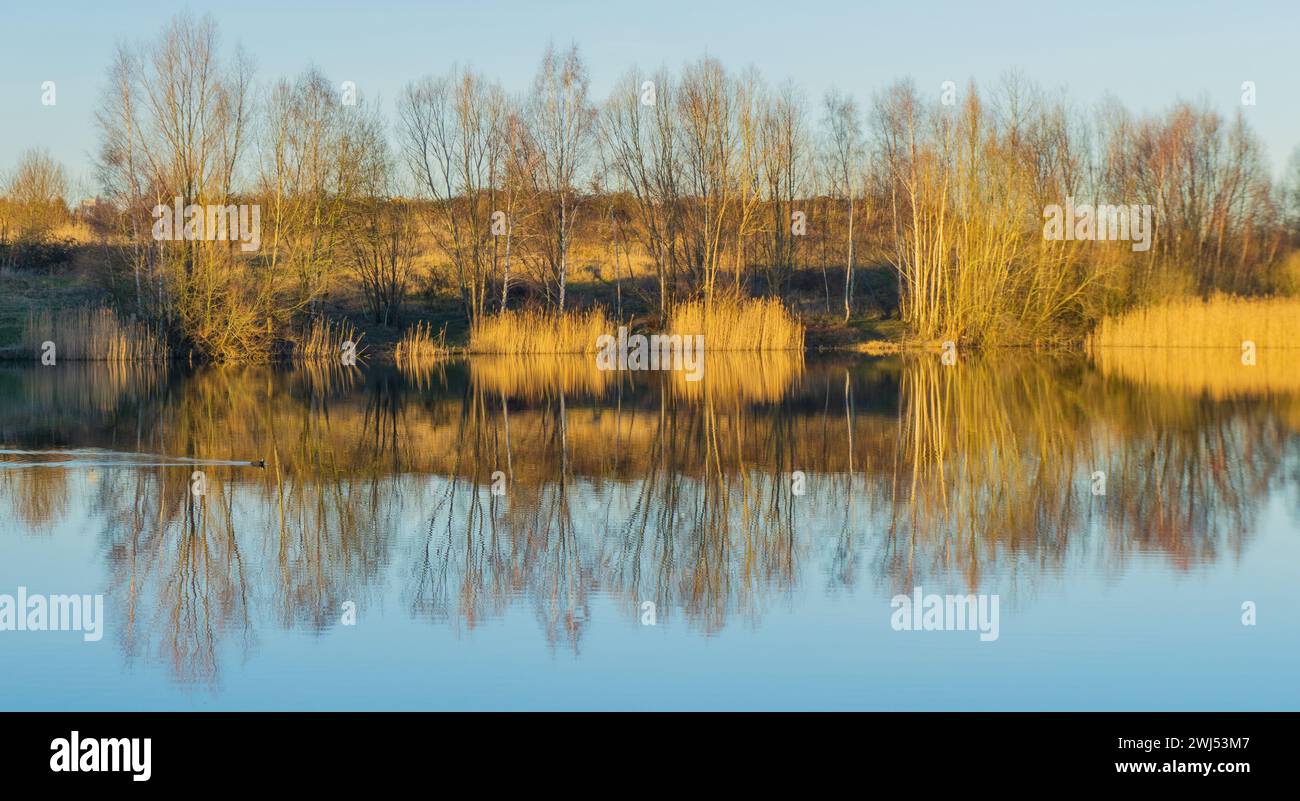 Artificial Borrow pit, closed with overgrown bank Stock Photo - Alamy