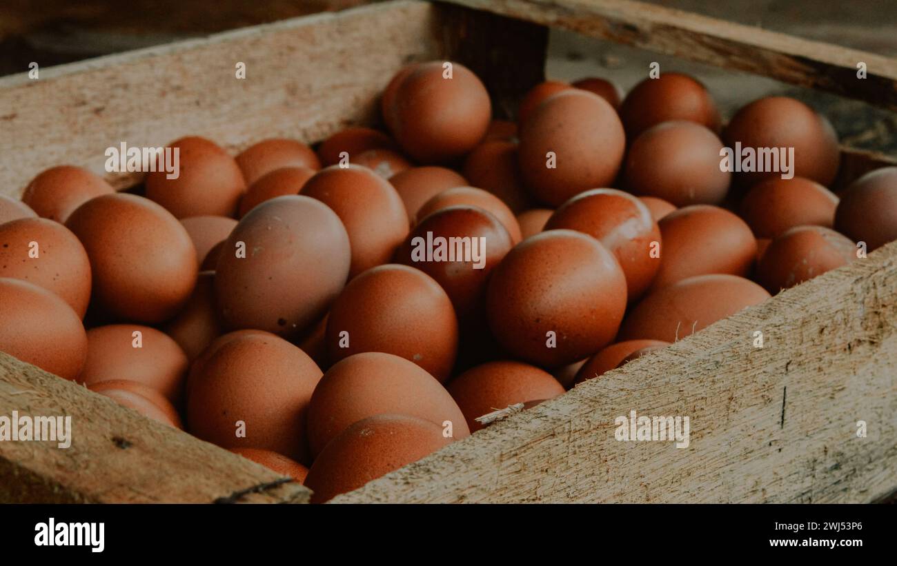 I just take photos of random things around Stock Photo - Alamy