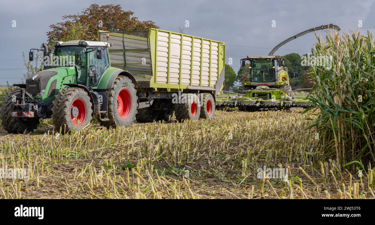 Agricultural machines during the maize harvest in Oktober Stock Photo ...