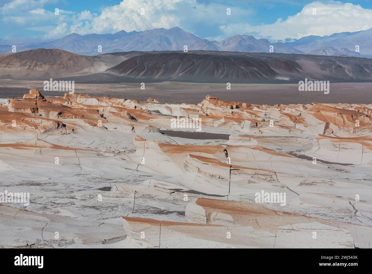 The Campo de Piedra Pomez at over 3,500m in the Andes. A bizarre pumice ...