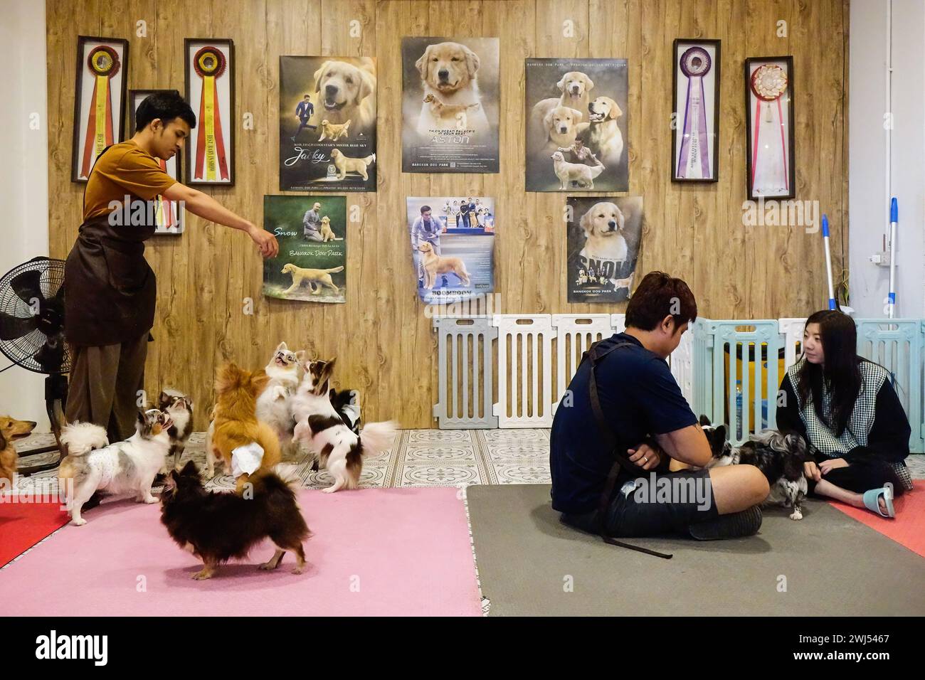 Bangkok dog cafe hi-res stock photography and images - Alamy