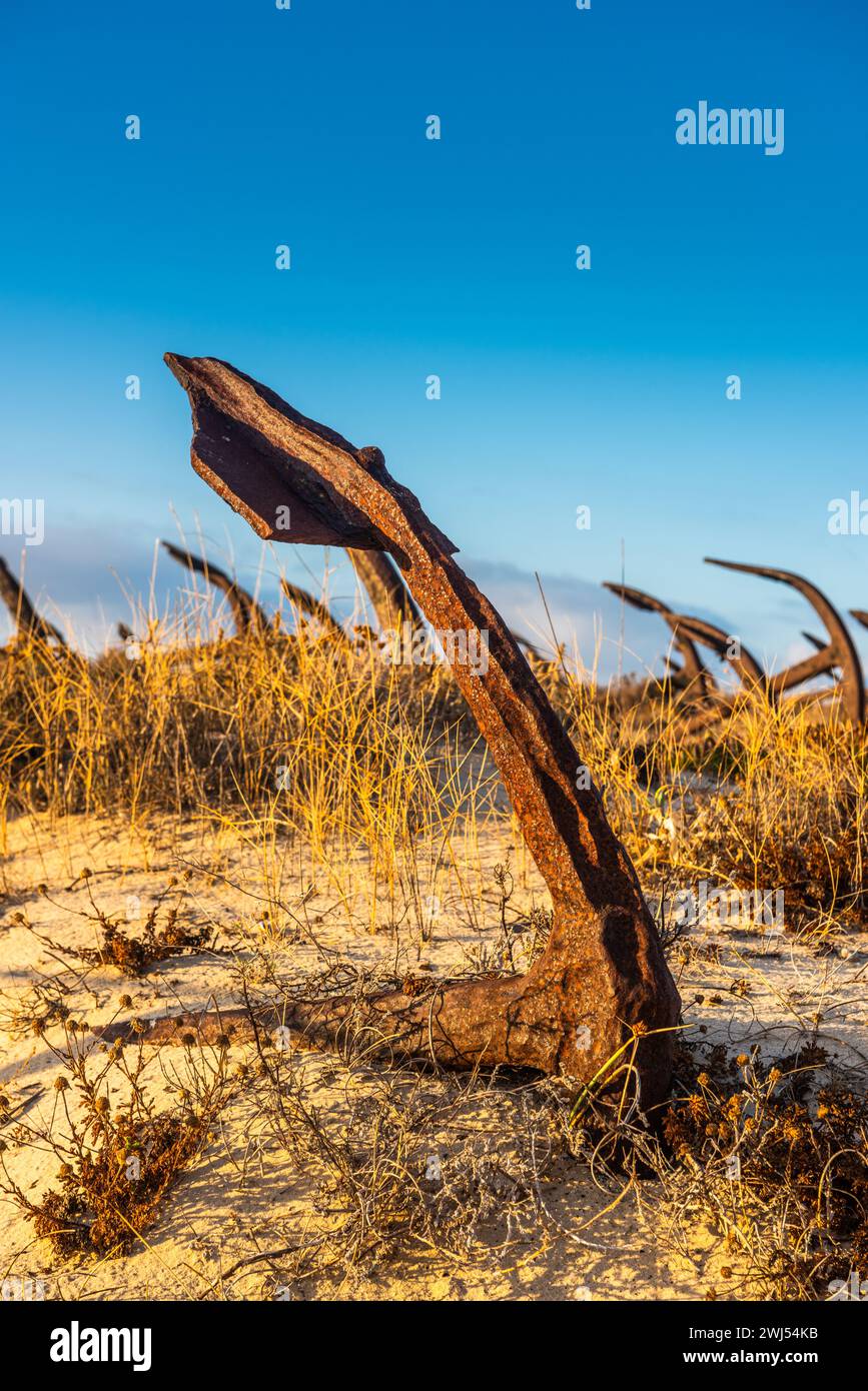 The Cemetery of Anchors in Tavira Island, Barill beach, Algarve ...