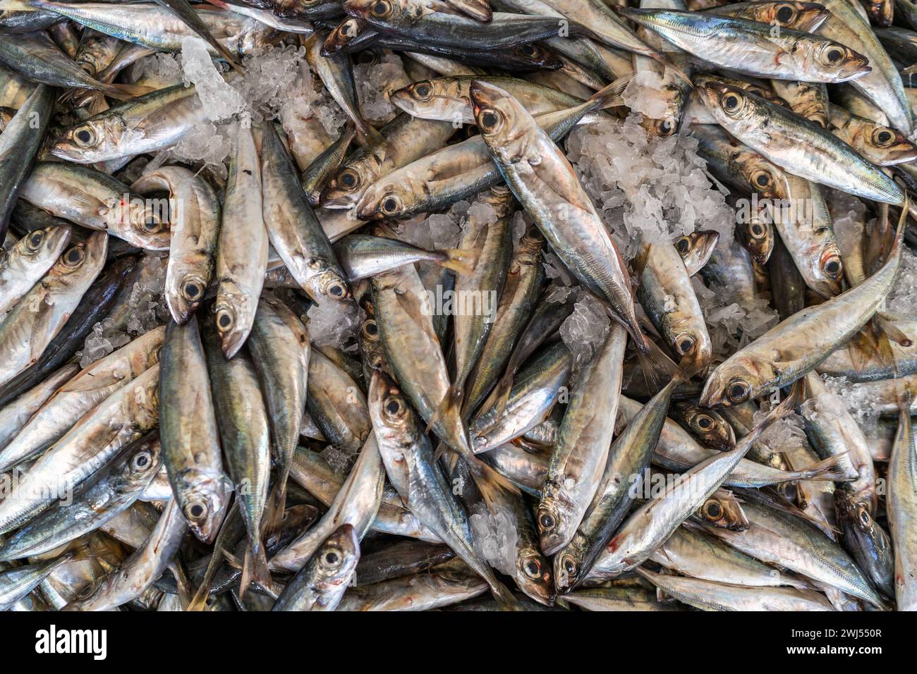 Fresh fish and seafood on traditional fish market in Funchal at Madeira ...