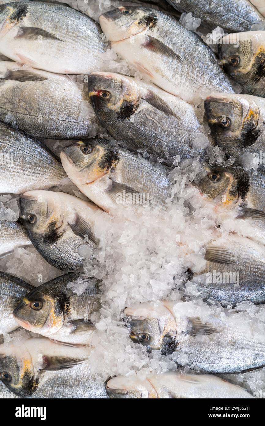 Fresh fish and seafood on traditional fish market in Funchal at Madeira ...