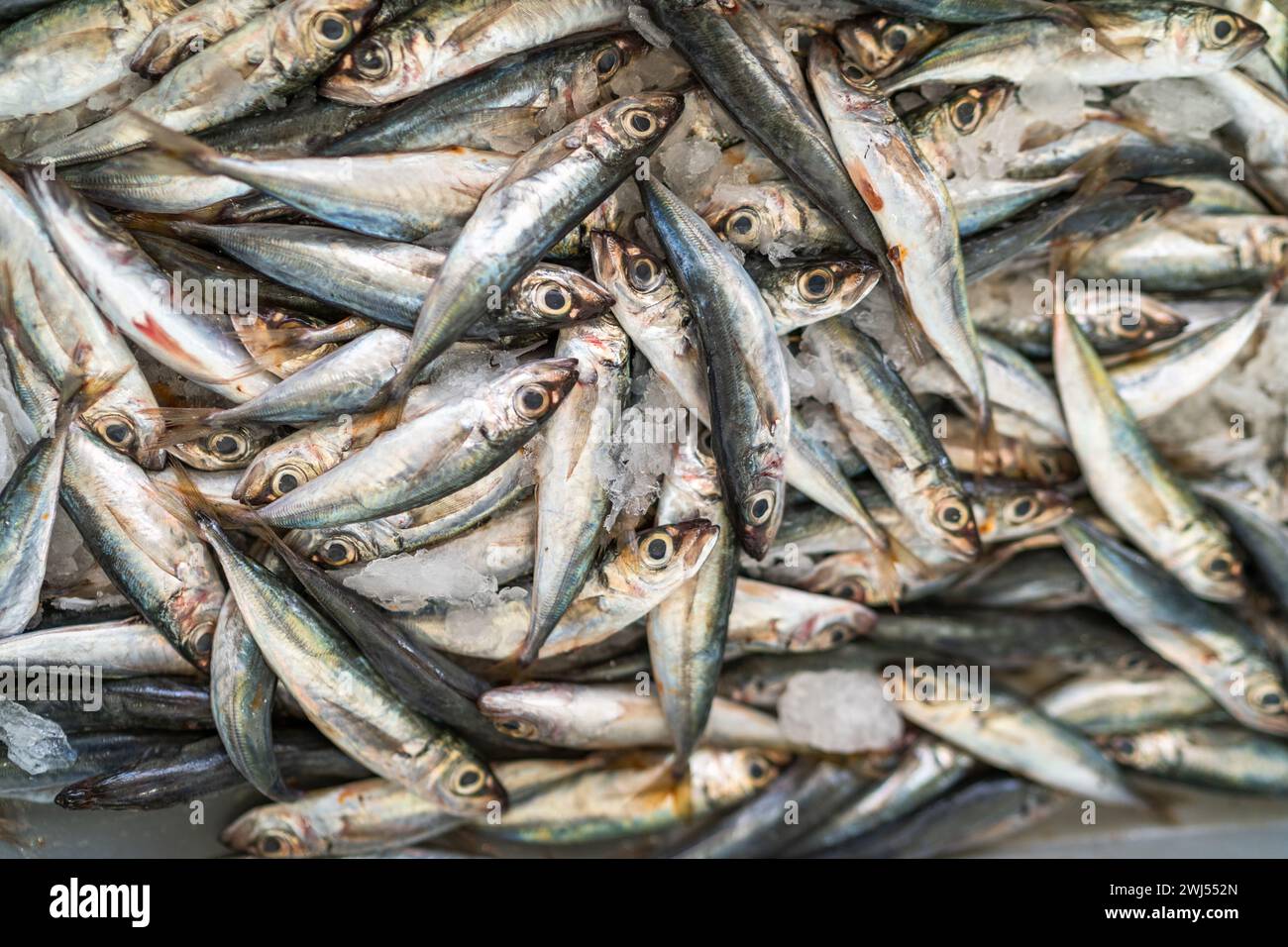 Fresh fish and seafood on traditional fish market in Funchal at Madeira ...