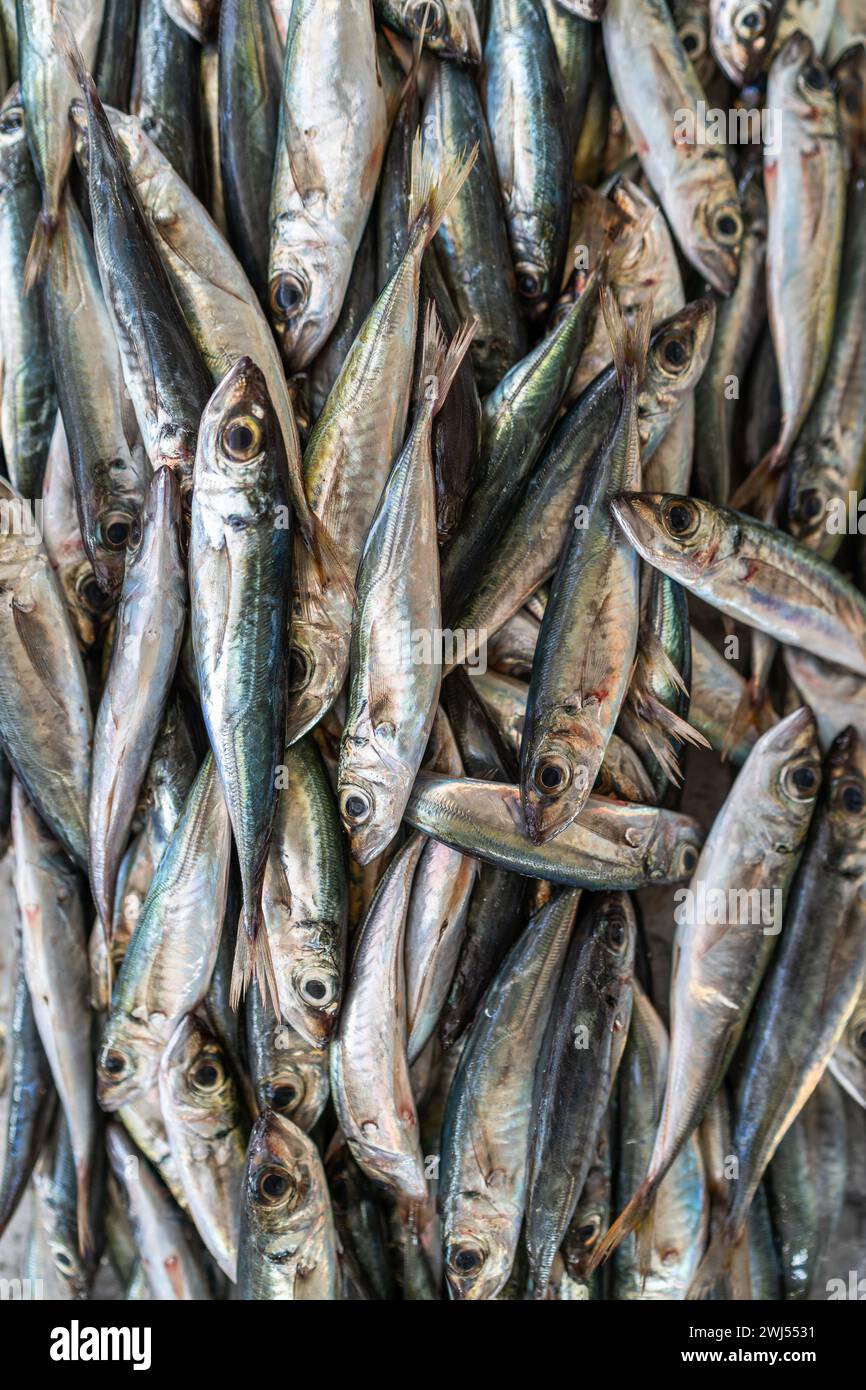 Fresh fish and seafood on traditional fish market in Funchal at Madeira ...