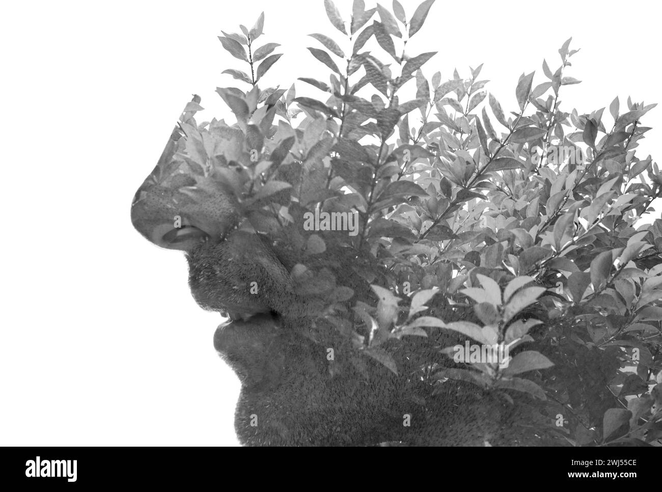 A disappearing double exposure male profile portrait Stock Photo - Alamy