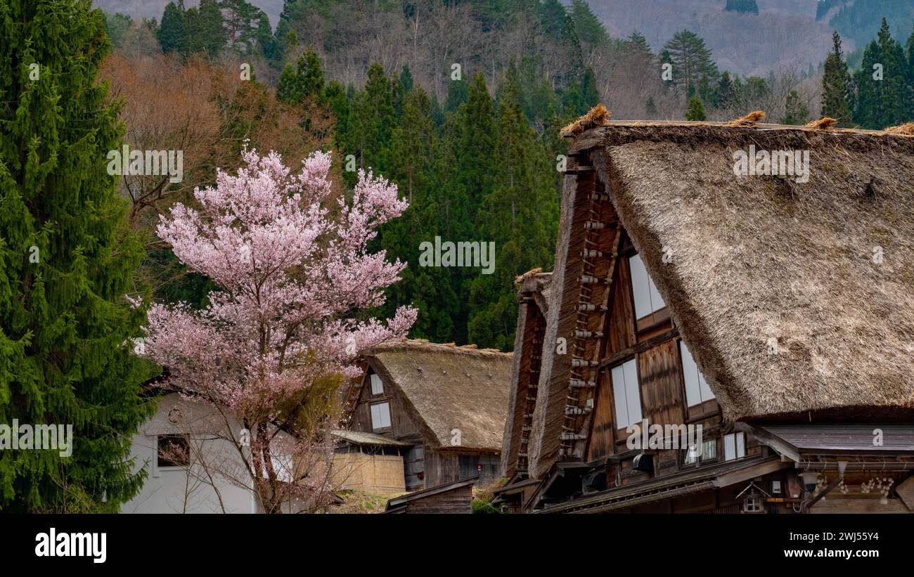 A scenic view of historic villages of Shirakawa-go and Gokayama in ...