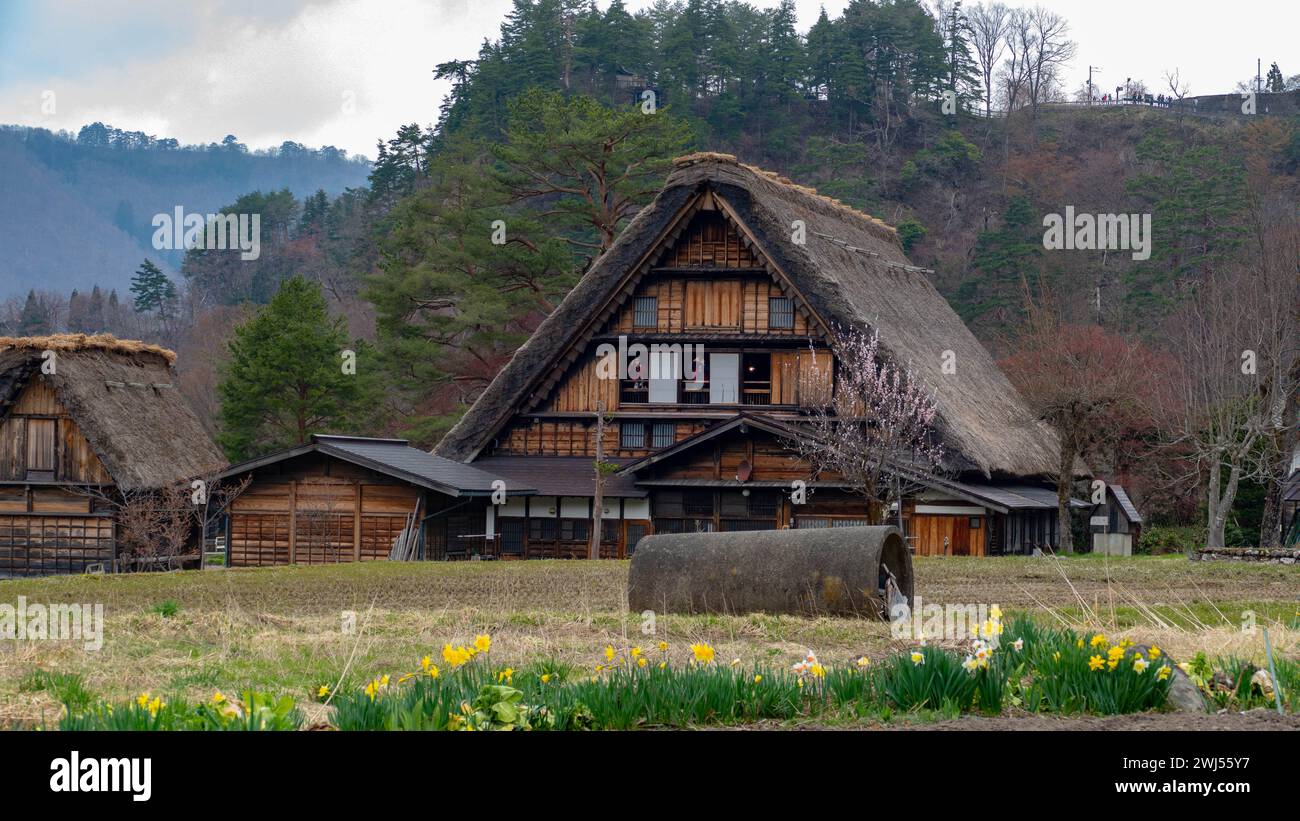 A scenic view of historic villages of Shirakawa-go and Gokayama in ...