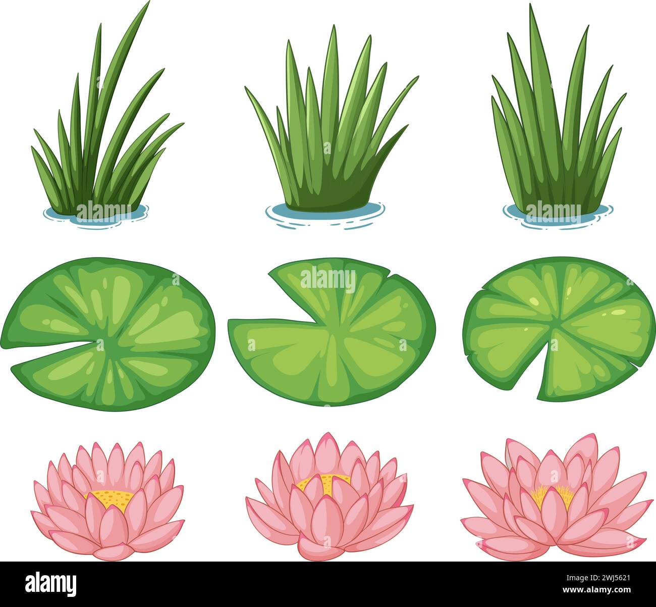 Vector illustrations of aquatic plants and flowers Stock Vector Image & Art - Alamy