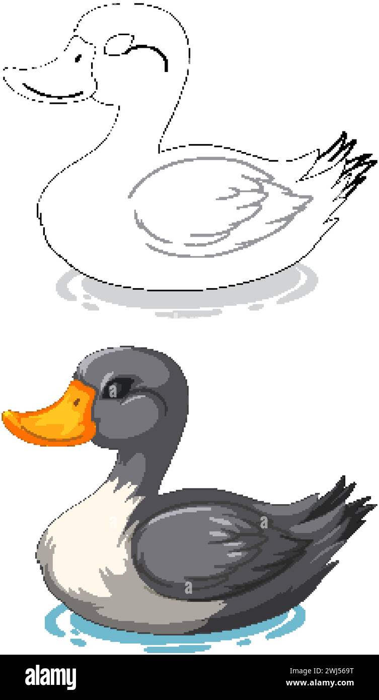 Vector illustration of a duck floating on water Stock Vector Image ...