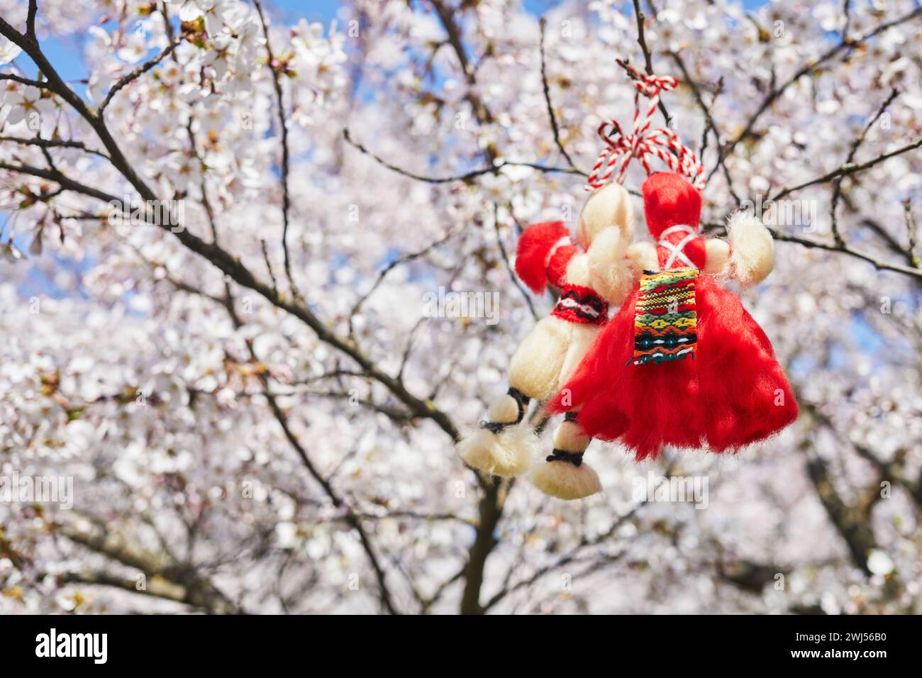 Bulgarian traditional spring decor Martenitsa on the cherry blossom ...
