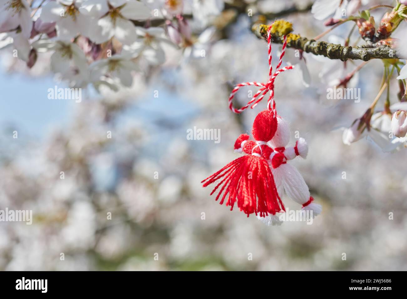 Bulgarian traditional spring decor Martenitsa on the cherry blossom ...
