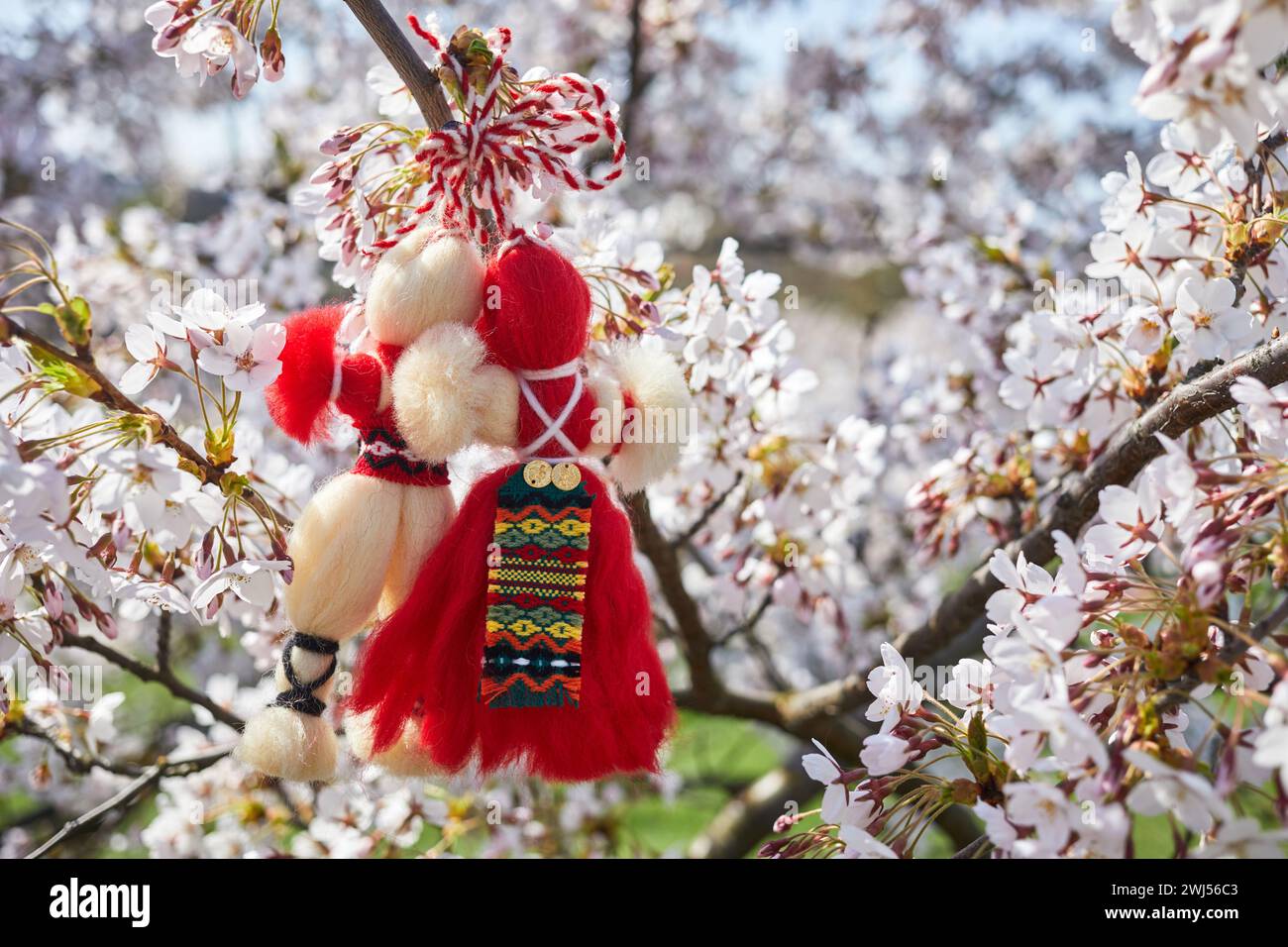Bulgarian traditional spring decor Martenitsa on the cherry blossom tree. Baba Marta holiday ...