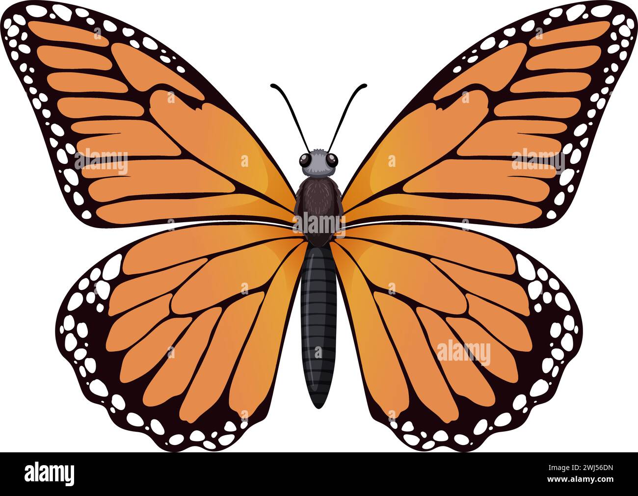 Colorful vector graphic of a monarch butterfly Stock Vector Image & Art - Alamy