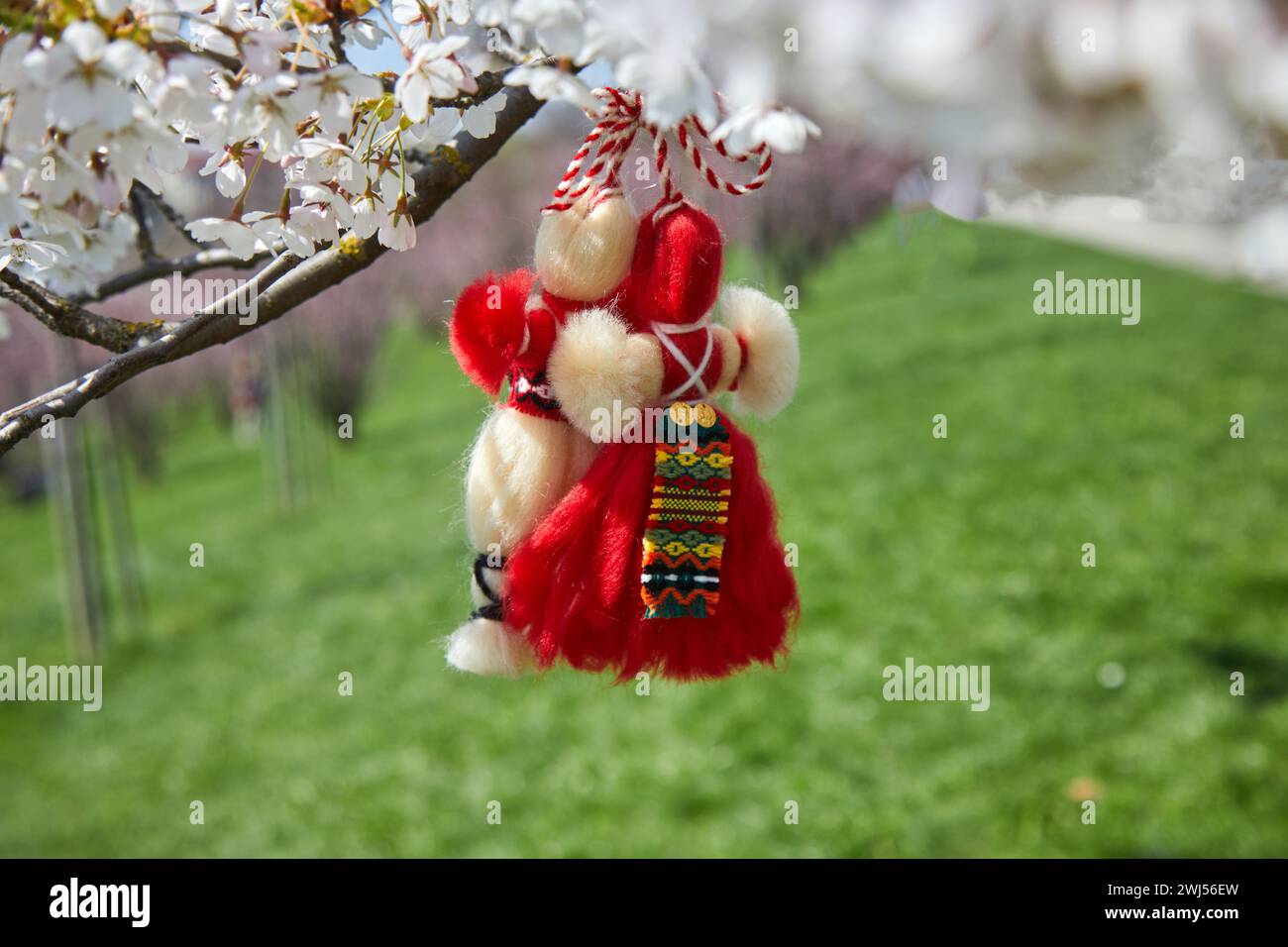 Bulgarian traditional spring decor Martenitsa on the cherry blossom ...