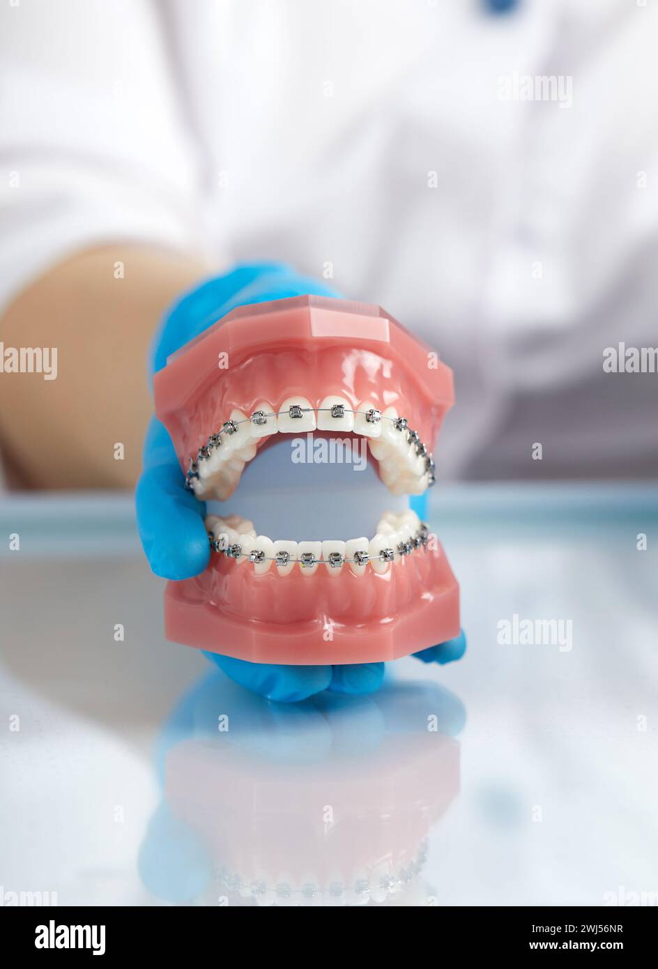 Doctor orthodontist showing model of human jaw with wire braces ...