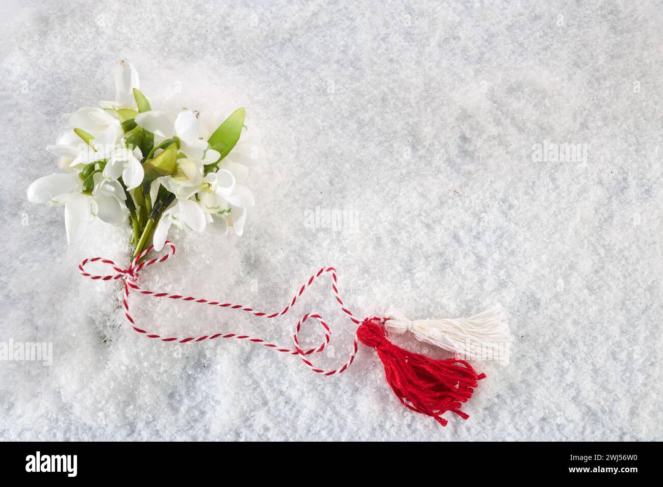 Snowdrops flowers with a red and white martenitsa on a snow background ...