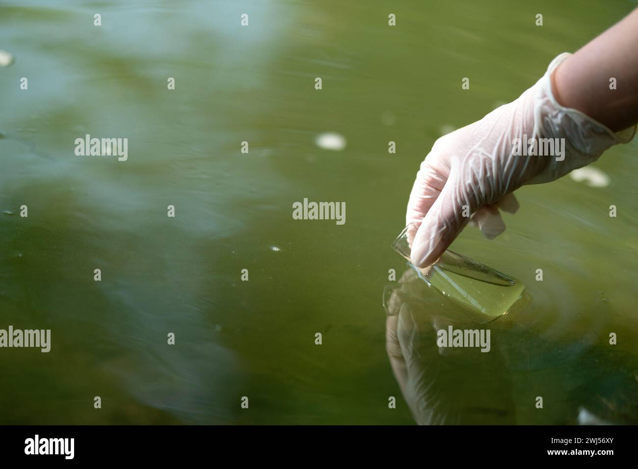 Sampling water for testing. Study of the quality of waste and drinking ...