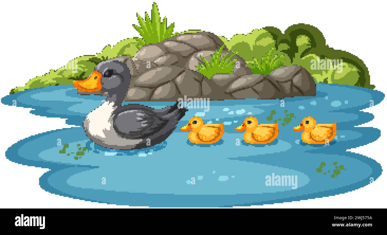 Mother duck with ducklings swimming in a pond Stock Vector Image & Art - Alamy