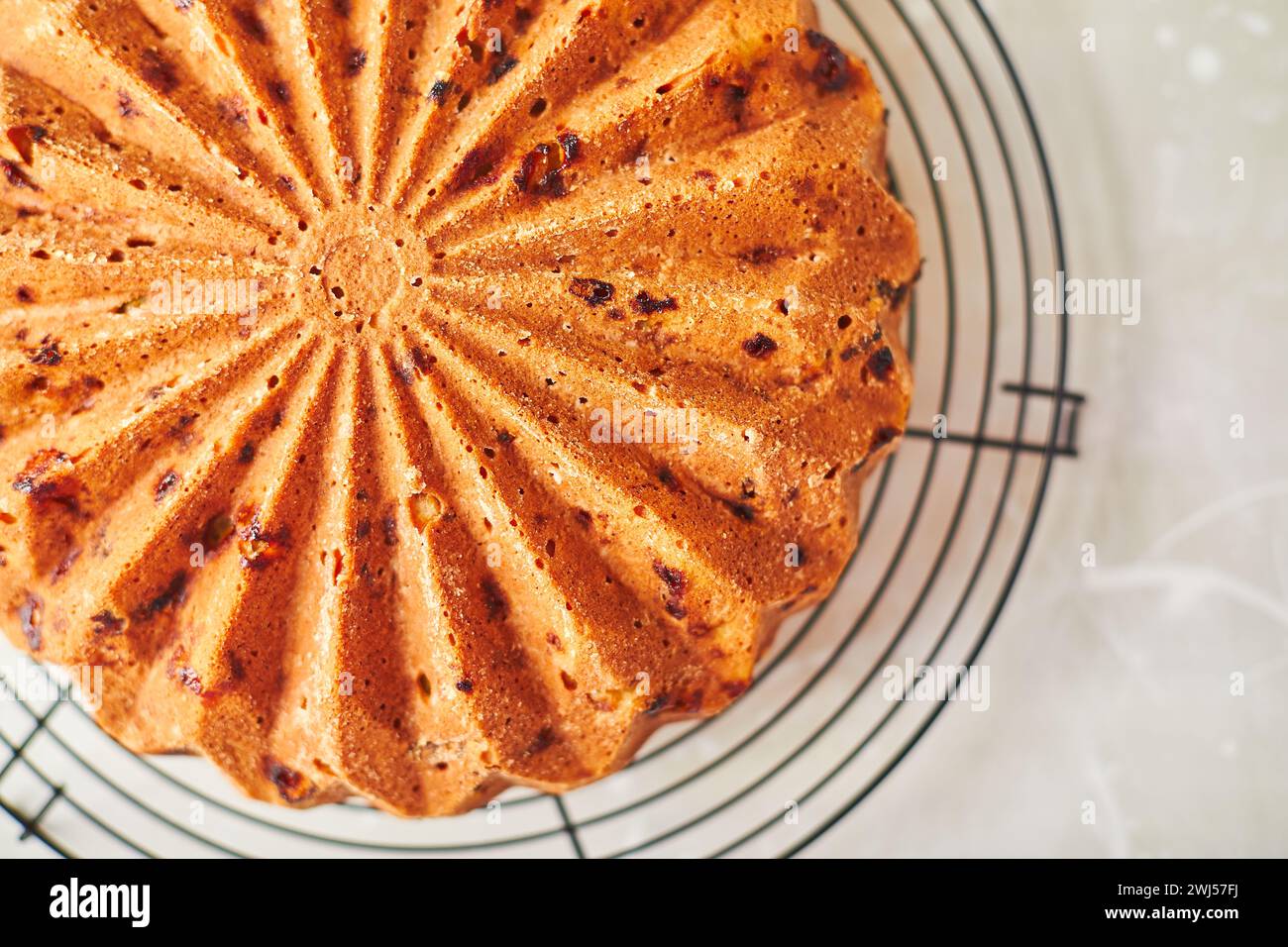 Delicious homemade grape sponge cake with noble mold cheese on a stone ...