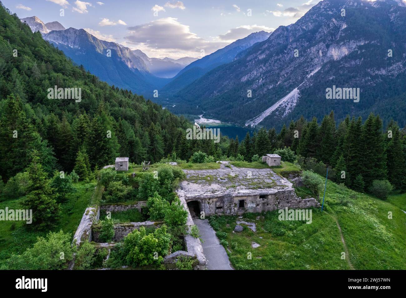Aerial view of alpine forest hi-res stock photography and images - Alamy