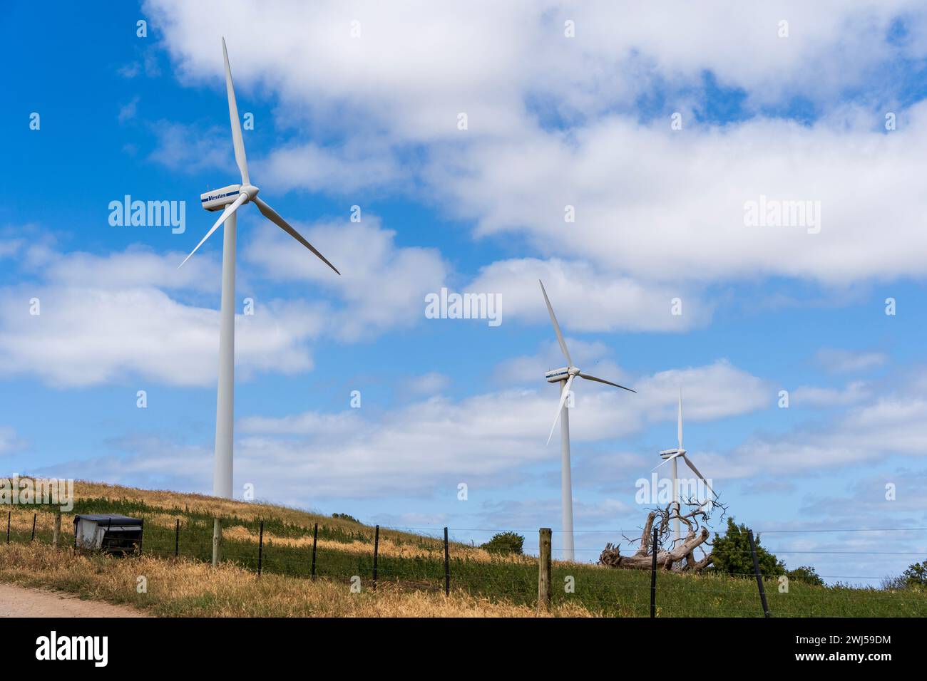 Wind turbines on the Woakwine Range Wind Farm Tourist Drive, South ...