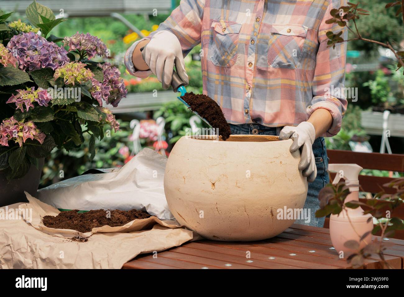 Woman planting flower in pot using dirt in garden center Stock Photo ...